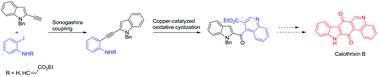 Total synthesis of calothrixin B via sequential Sonogashira coupling ...