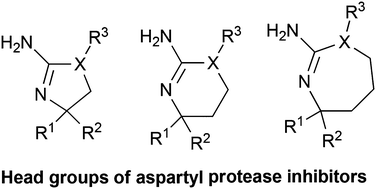 Synthesis of amino heterocycle aspartyl protease inhibitors - Organic ...