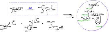 The synthesis of heterosaccharides related to the fucoidan from ...