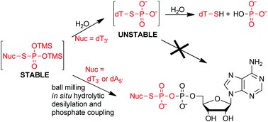 Synthesis of novel pyrophosphorothiolate-linked dinucleoside cap ...