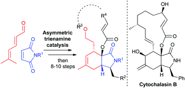 Trienamine catalyzed asymmetric synthesis and biological investigation ...