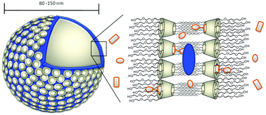 Fluorescence quenching in β-cyclodextrin vesicles: membrane confinement ...