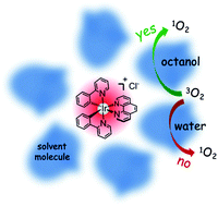 Solvent dependent photosensitized singlet oxygen production from an Ir ...