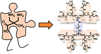 Synthesis of all-aliphatic polyamide dendrimers based on a 3,3 ...
