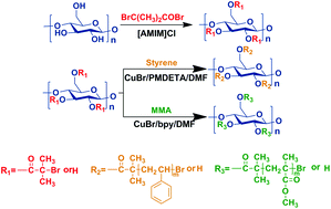 Corn starch-based graft copolymers prepared via ATRP at the molecular ...