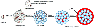 Sequential two-stage polymerization for synthesis of isotactic ...
