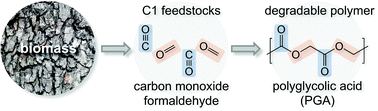 Polyglycolic acid from the direct polymerization of renewable C1 ...