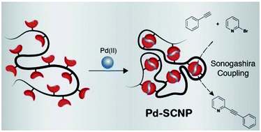 Pd-complex driven formation of single-chain nanoparticles - Polymer ...