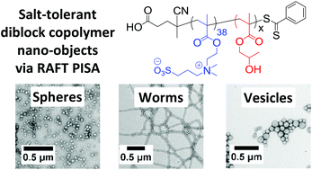 Polysulfobetaine-based diblock copolymer nano-objects via polymerization-induced self-assembly ...