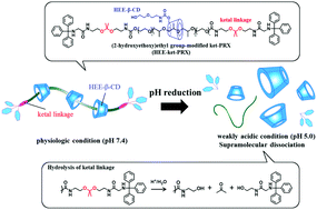 Acid-labile polyrotaxane exerting endolysosomal pH-sensitive ...
