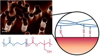 Hydroxyl-functionalized poly(trimethylene carbonate) electrolytes for ...