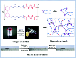 Facile fabrication of a well-defined poly(p-dioxanone) dynamic network ...