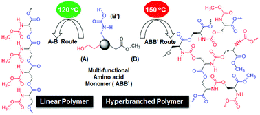 One-pot two polymers: ABB′ melt polycondensation for linear polyesters ...