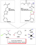 Fe(0) powder-catalyzed one-pot reaction: concurrent living radical ...