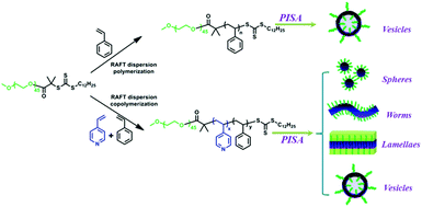 Macro-RAFT agent mediated dispersion copolymerization: a small amount ...