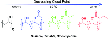 Thermoresponsive, well-defined, poly(vinyl alcohol) co-polymers ...