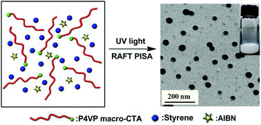 UV light-initiated RAFT polymerization induced self-assembly - Polymer ...
