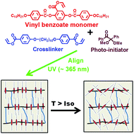 Poly(vinyl benzoate)-backbone mesogen-jacketed liquid crystalline ...