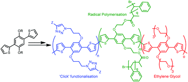 Highly functionalisable polythiophene phenylenes - Polymer Chemistry ...