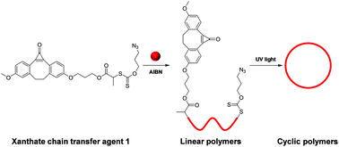 A ring-closure method for preparing cyclic polymers from unconjugated ...
