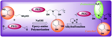 Synthesis of catechol and zwitterion-bifunctionalized poly(ethylene ...