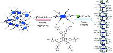 The construction of supramolecular polymers through anion bridging ...