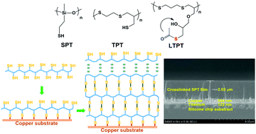 A novel and facile strategy to inhibit corrosion: thiol-click synthesis ...