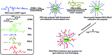 Polypeptide–poly(ethylene glycol) miktoarm star copolymers with a ...