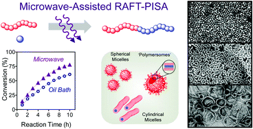Microwave-assisted synthesis of block copolymer nanoparticles via RAFT ...