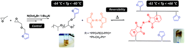 Activated anionic ring-opening polymerization for the synthesis of ...