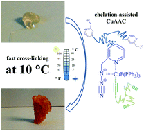 Chelation-assisted CuAAC in star-shaped polymers enables fast self ...