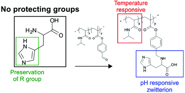 Facile synthesis of histidine functional poly(N-isopropylacrylamide ...