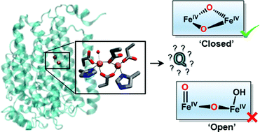 Compound Q is finally deciphered - Inorganic Chemistry Frontiers (RSC ...