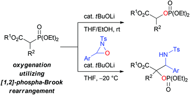 Brønsted base-catalyzed α-oxygenation of carbonyl compounds utilizing ...