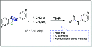 Metal free access to amide compounds via peroxide-mediated N [[double ...