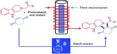 Visible-light photoredox catalysis: direct synthesis of fused β ...