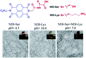 Nanofibrous hydrogels self-assembled from naphthalene diimide (NDI ...
