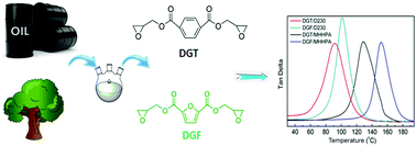 Synthesis and properties of a bio-based epoxy resin from 2,5 ...