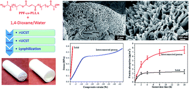 Novel biodegradable poly(propylene fumarate)-co-poly(l-lactic acid ...
