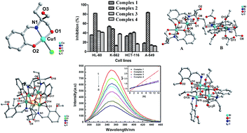 DNA/protein interaction, cytotoxic activity and magnetic properties of ...
