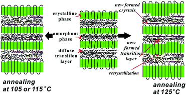 In situ study of the annealing process of a polyethylene cast film with ...