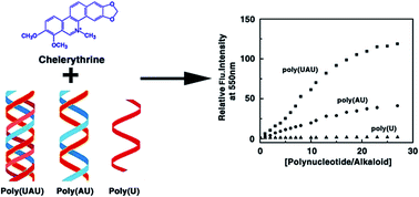 Structural and thermodynamic basis of interaction of the putative ...