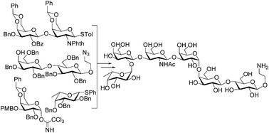 Chemical synthesis of the tumor-associated globo H antigen - RSC ...