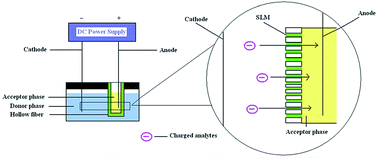 Development of ionic liquid based electromembrane extraction and its ...
