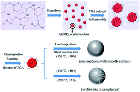 Self-assembled synthesis of urchin-like AlOOH microspheres with large ...