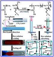 Facile access to poly(DMAEMA-co-AA) hydrogels via infrared laser ...