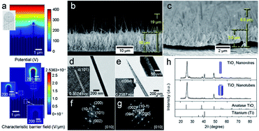 Morphological optimization of large-area arrays of TiO2 nanowires ...