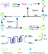 A cascade signal amplification strategy for ultrasensitive colorimetric ...