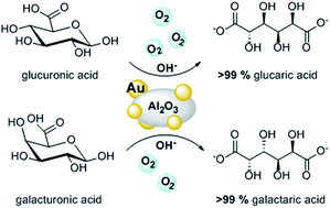 Selective oxidation of uronic acids into aldaric acids over gold ...