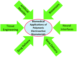 Electrically conductive polymers and composites for biomedical ...